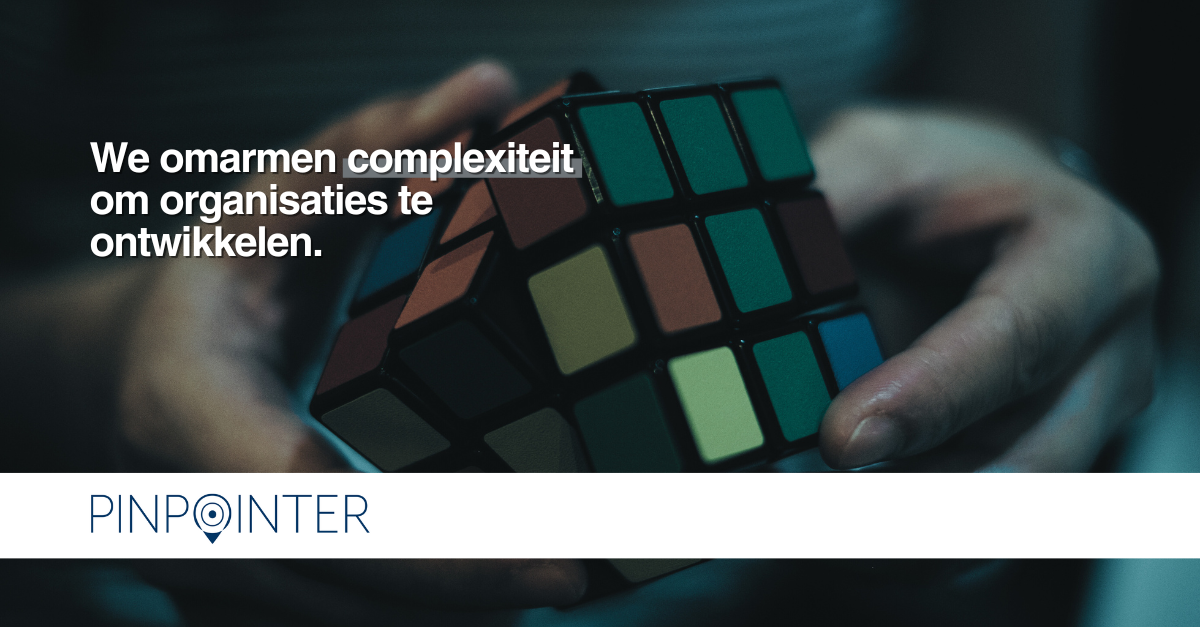 Omarmen van complexiteit voor een Duurzame Organisatie | Pinpointer